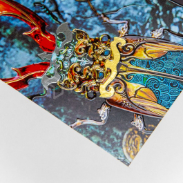 Scodix Digital Enhancement Printing | PakFactory®