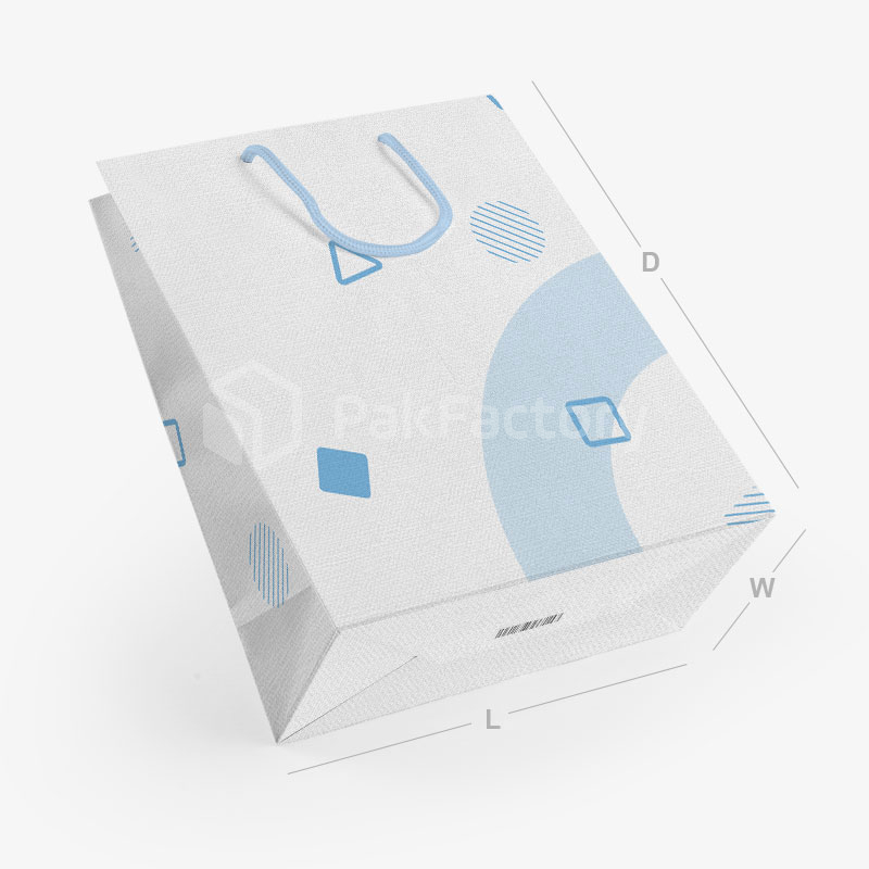 Custom Paper Merchandise Bags | PakFactory®